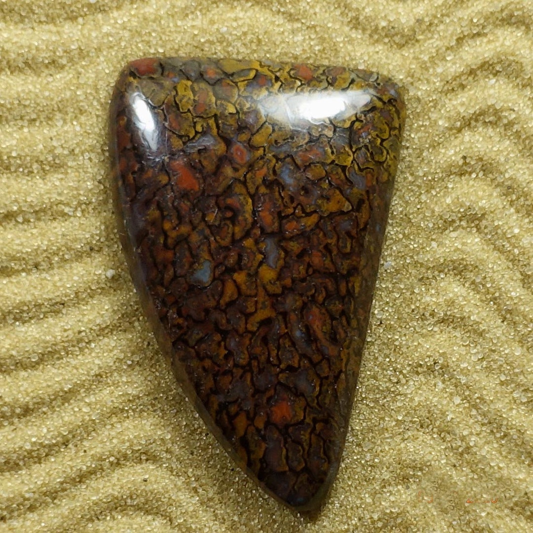 Dinosaur Bone Cab Cut by Greta Schneider - Etsy