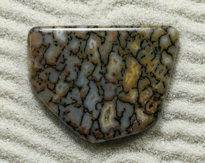 Dinosaur Bone Cab With Large Cells - Etsy