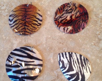 Zebra shells | Etsy