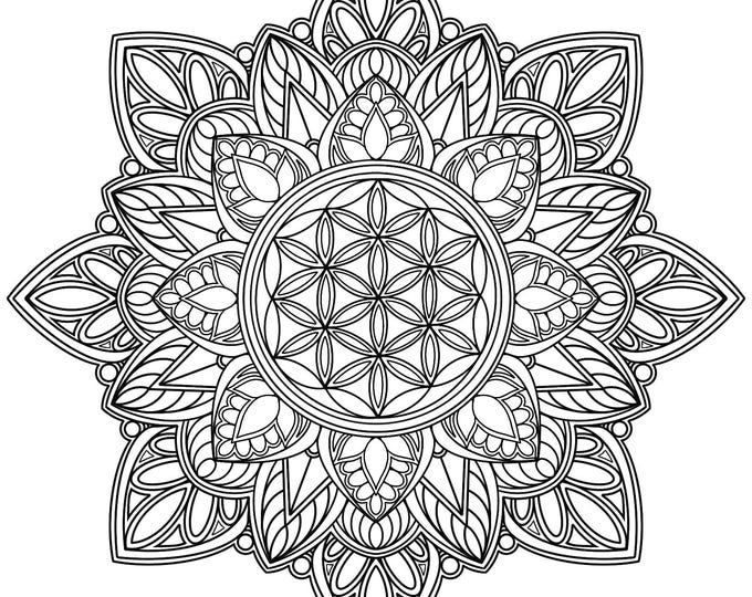 Intricate Mindfulness Flower of Life Mandala Coloring Page - Etsy