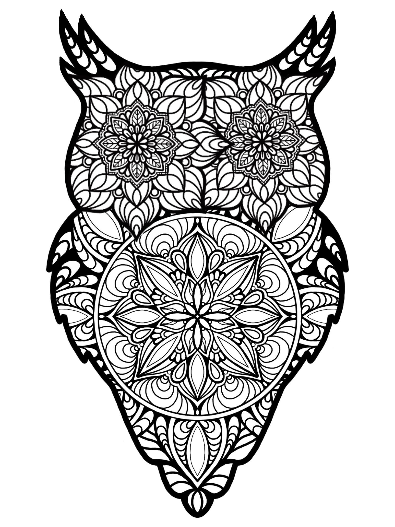 Owl Mandala Adult Coloring Art Pages for Mindfulness Meditation and Art ...