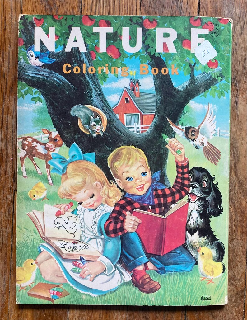 Cute Vintage 1968 Nature Coloring Book Unused Samuel Lowe Co Animals ...