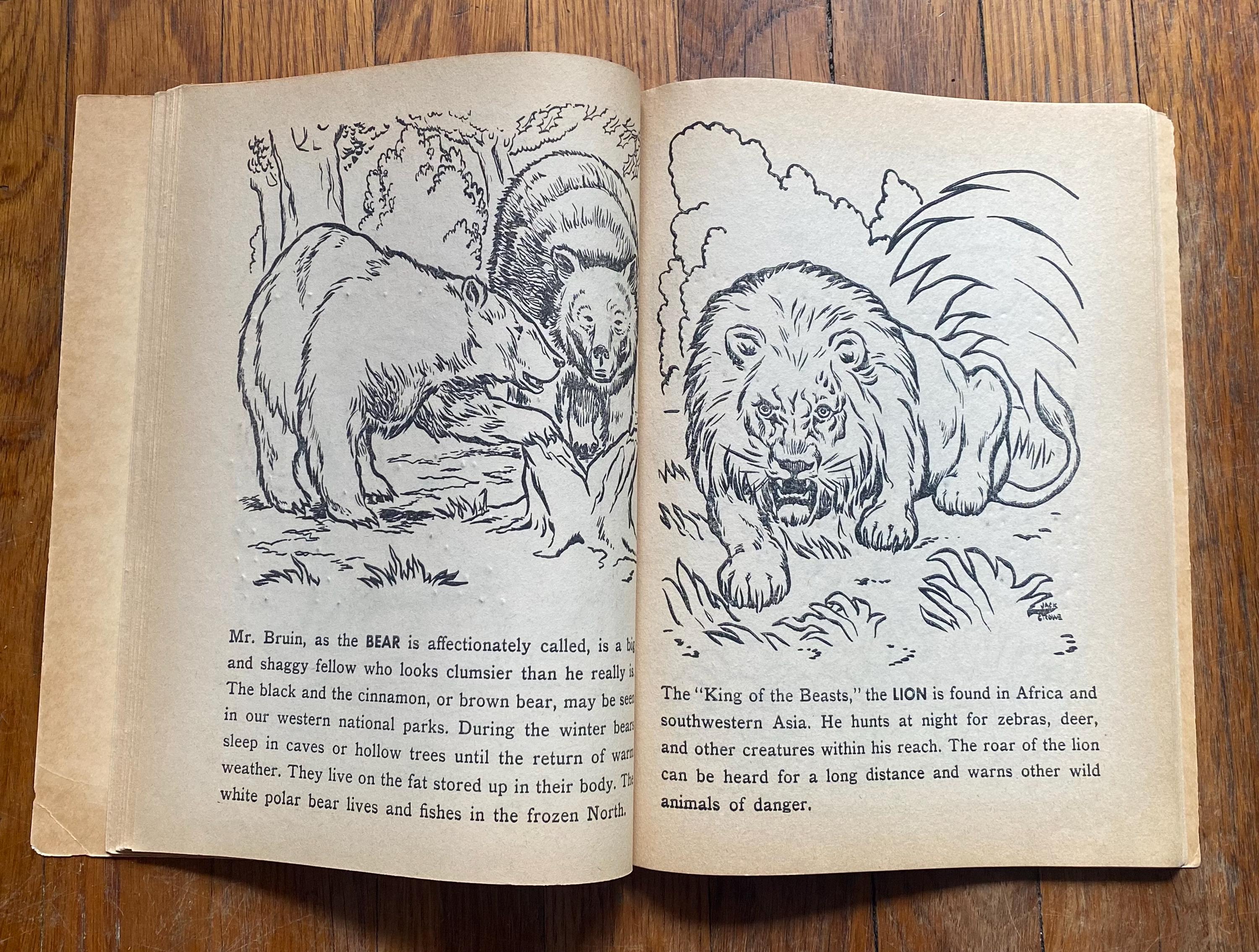 Cute Vintage 1968 Nature Coloring Book Unused Samuel Lowe Co Animals ...