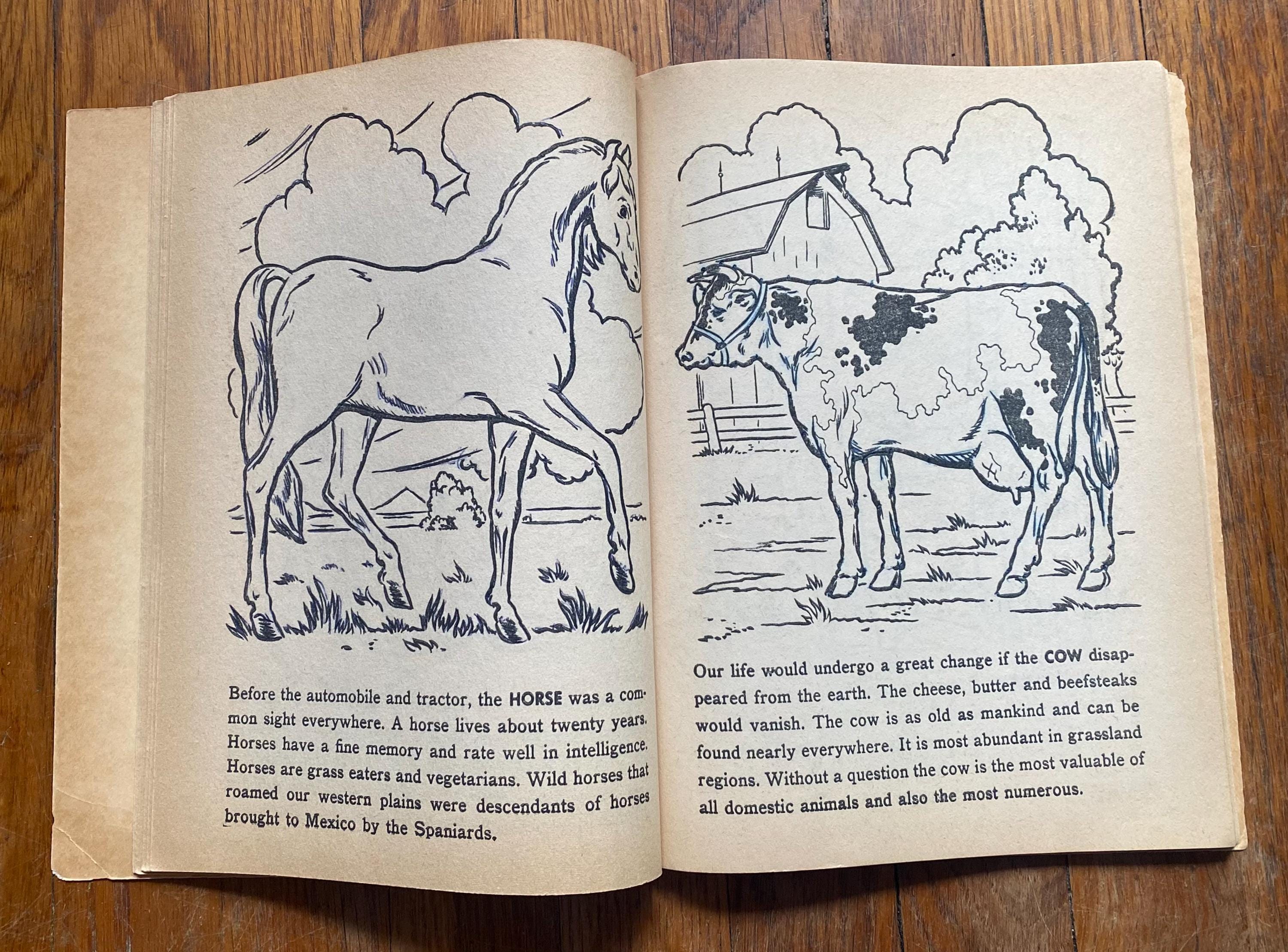 Cute Vintage 1968 Nature Coloring Book Unused Samuel Lowe Co Animals ...