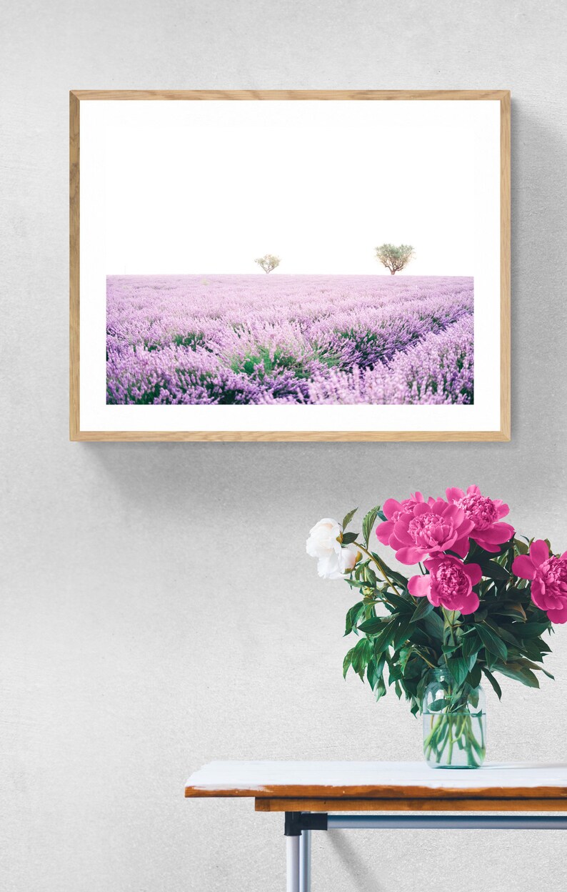 France Photography Lavender Field Wall Art Lavender Fields - Etsy
