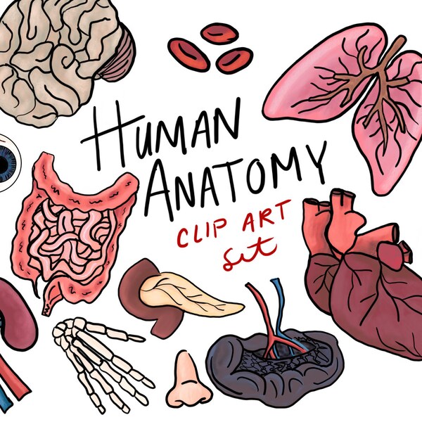 Clip Art Commercial Use - Etsy