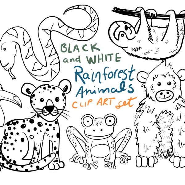 Rainforest Animals - Etsy