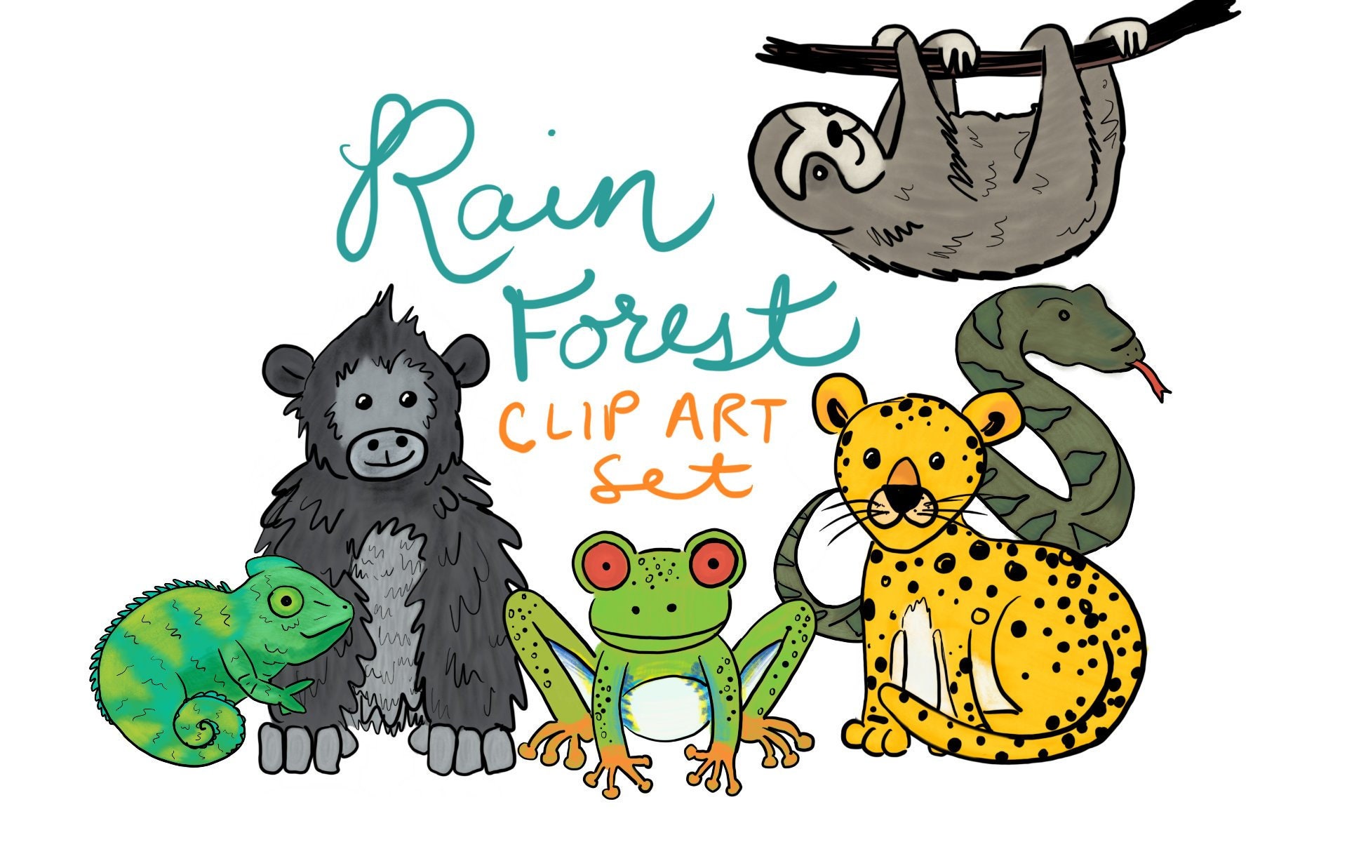 Hand Drawn Rainforest Animal Clip Art, Animal Clipart, Rainforest ...