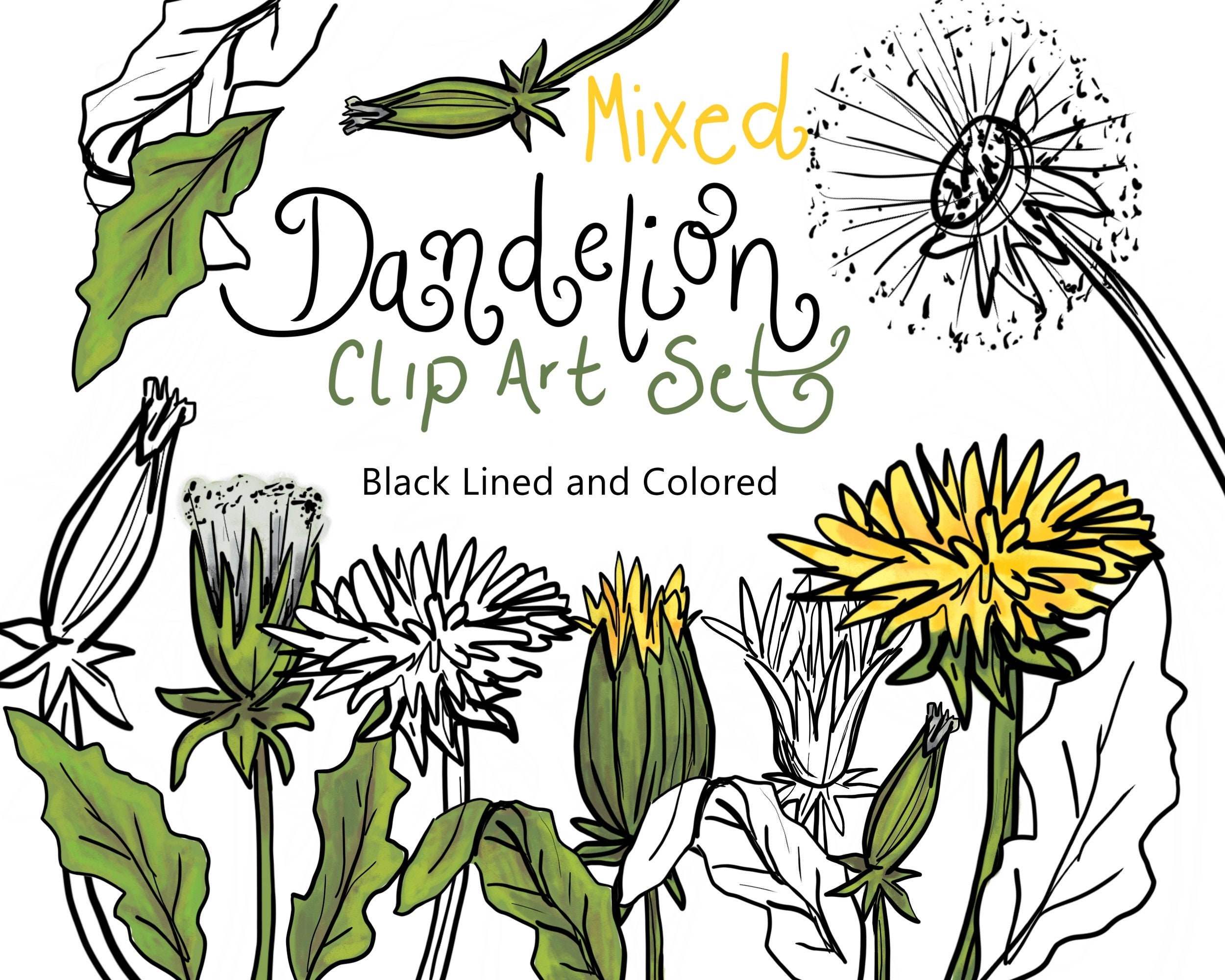 Dandelion Clip Art