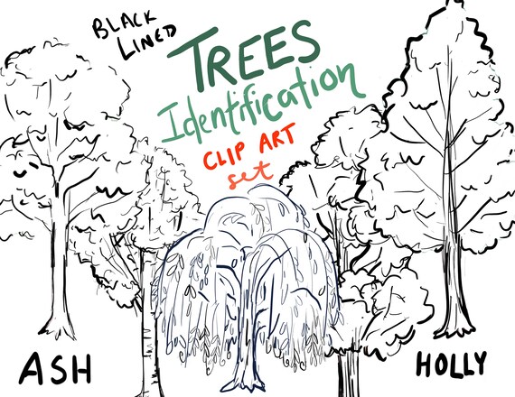 Line Work Trees Clip Art Hand Drawn Trees Clip Art Trees - Etsy