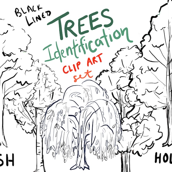 Trees Clip Art - Etsy