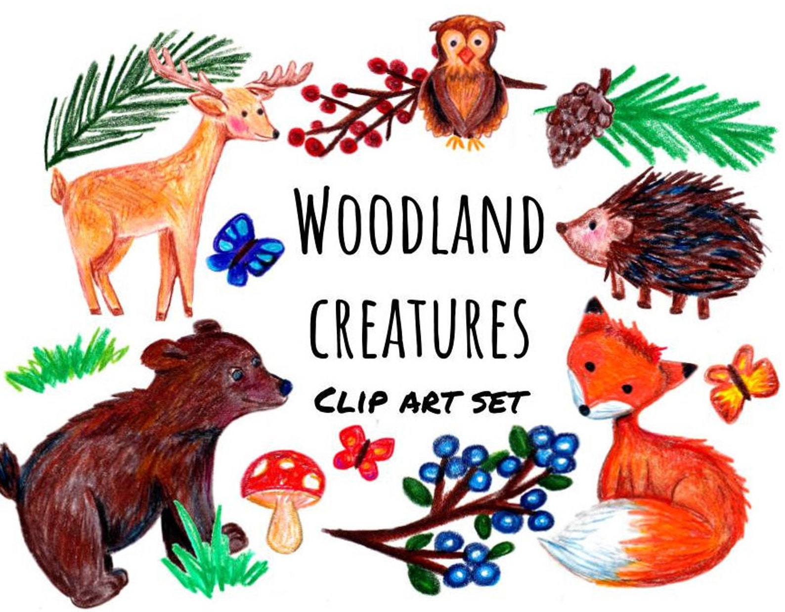 Hand Drawn Woodland Animals Clipart Forest Animals Clip Art - Etsy
