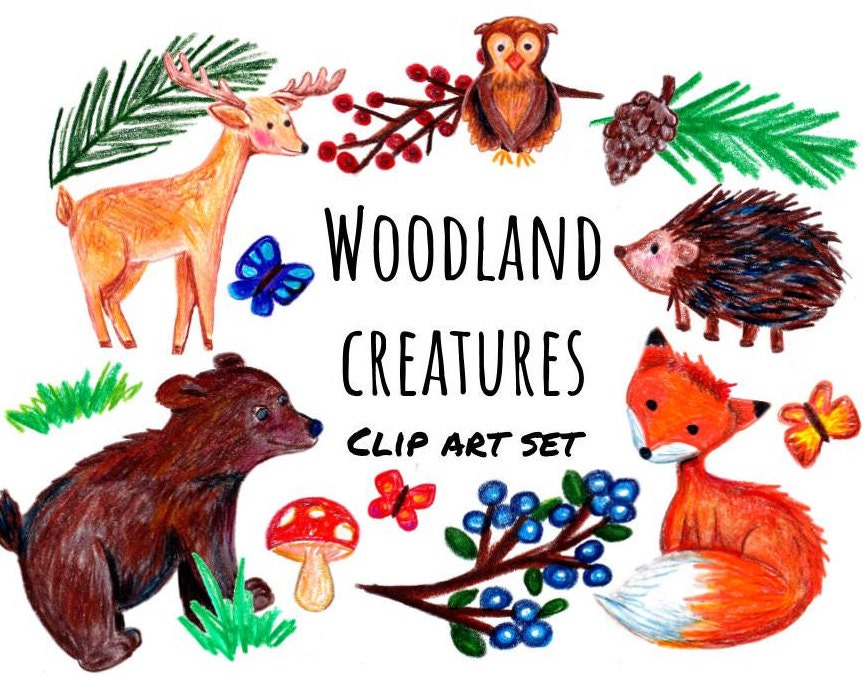 Hand Drawn Woodland Animals Clipart Forest Animals Clip Art - Etsy