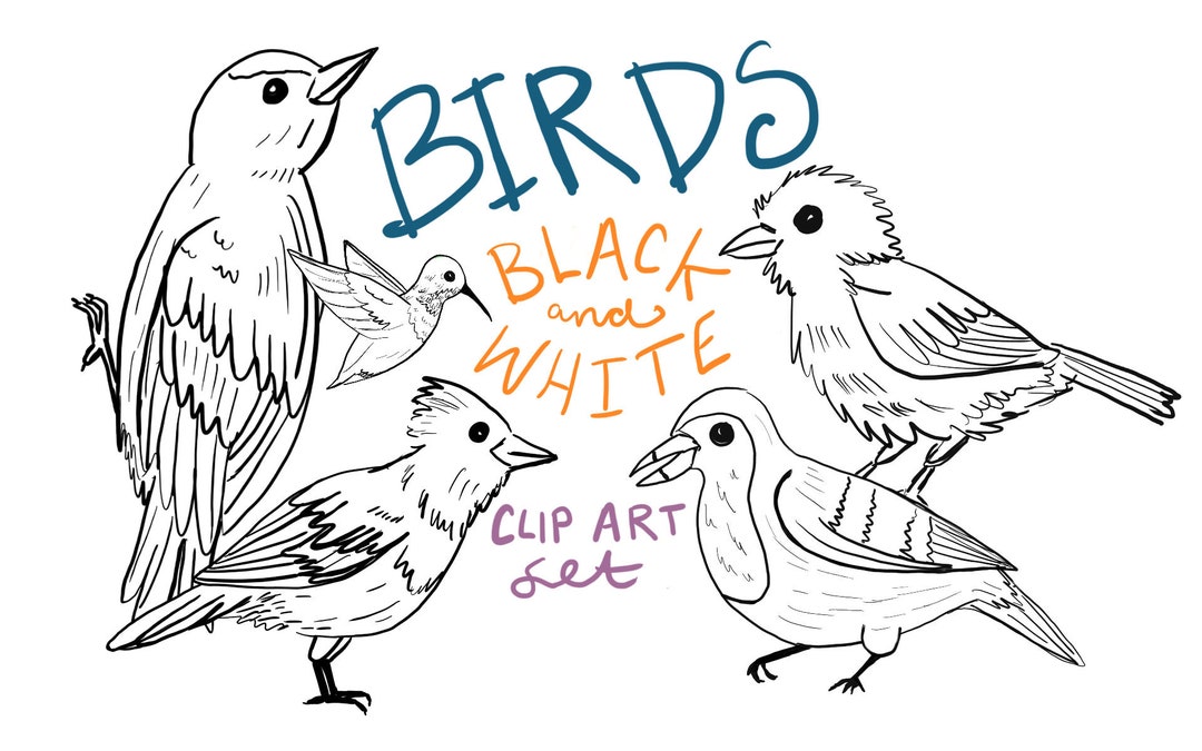 Black and White Bird Clip Art Hand Drawn Clip Art Bird Clip - Etsy