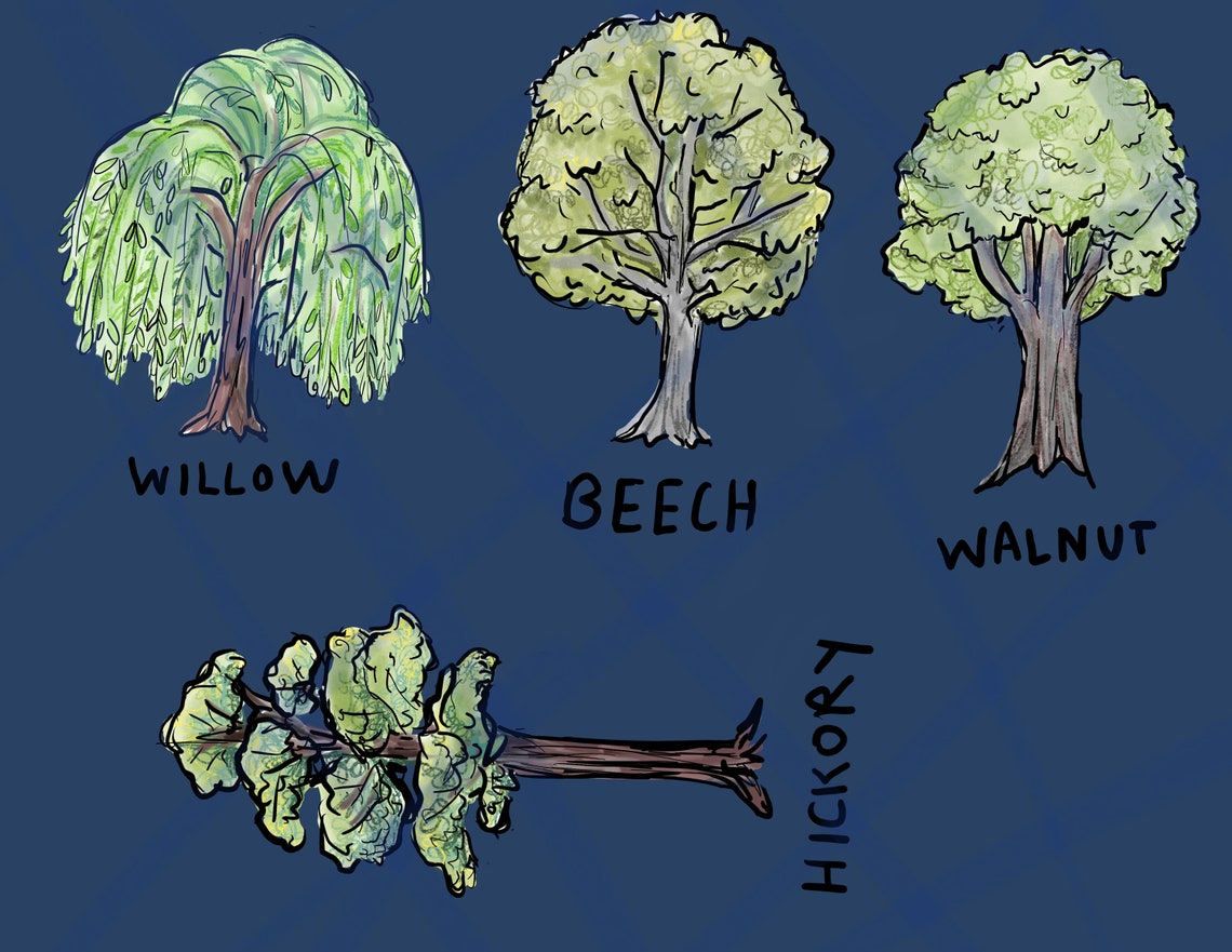 Trees Clip Art Hand Drawn Trees Clip Art Trees Identification Clip Art ...