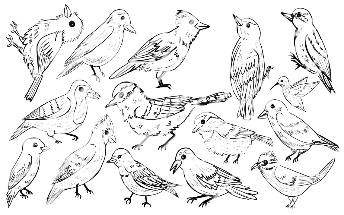 Black and White Bird Clip Art Hand Drawn Clip Art Bird Clip - Etsy