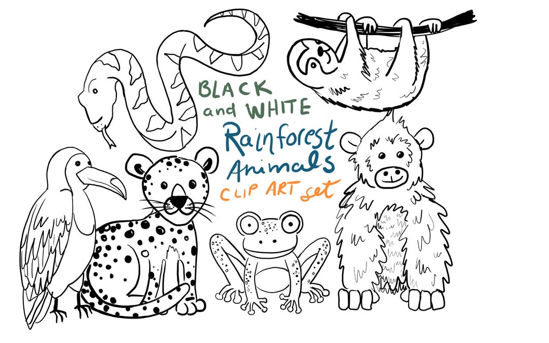 Tropical Rainforest Clipart Black And White