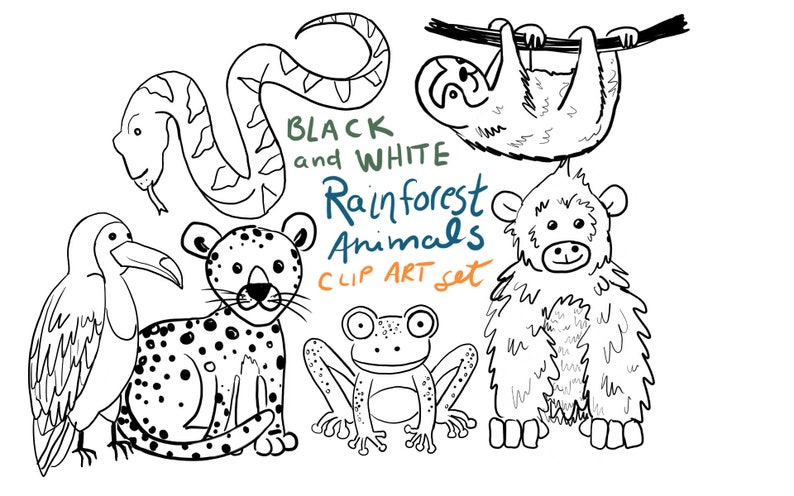 Black and White Doodle Rainforest Animals Rainforest Animal - Etsy ...