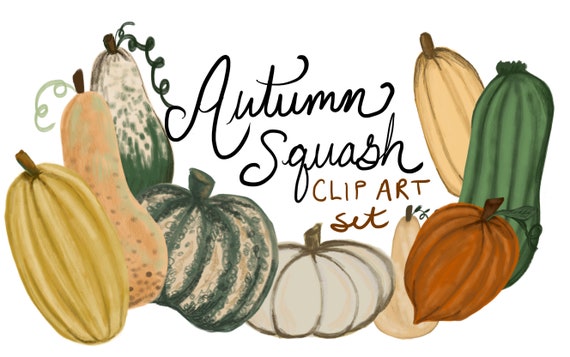 Hand Drawn Autumn Squash Clip Art Squash Clip Art Pumpkin | Etsy