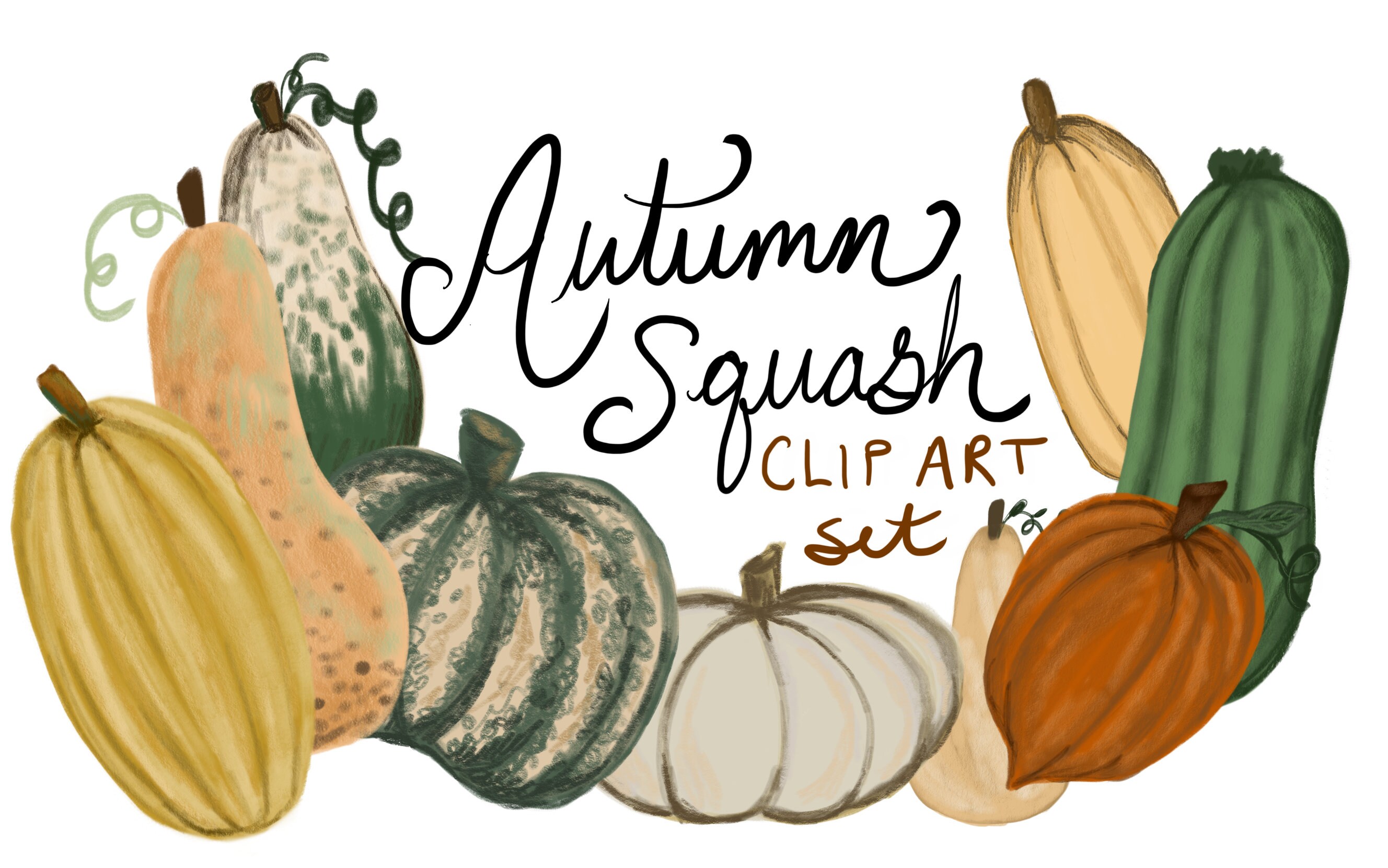 Hand Drawn Autumn Squash Clip Art Squash Clip Art Pumpkin - Etsy