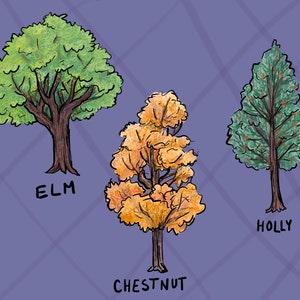 Trees Clip Art Hand Drawn Trees Clip Art Trees Identification Clip Art ...