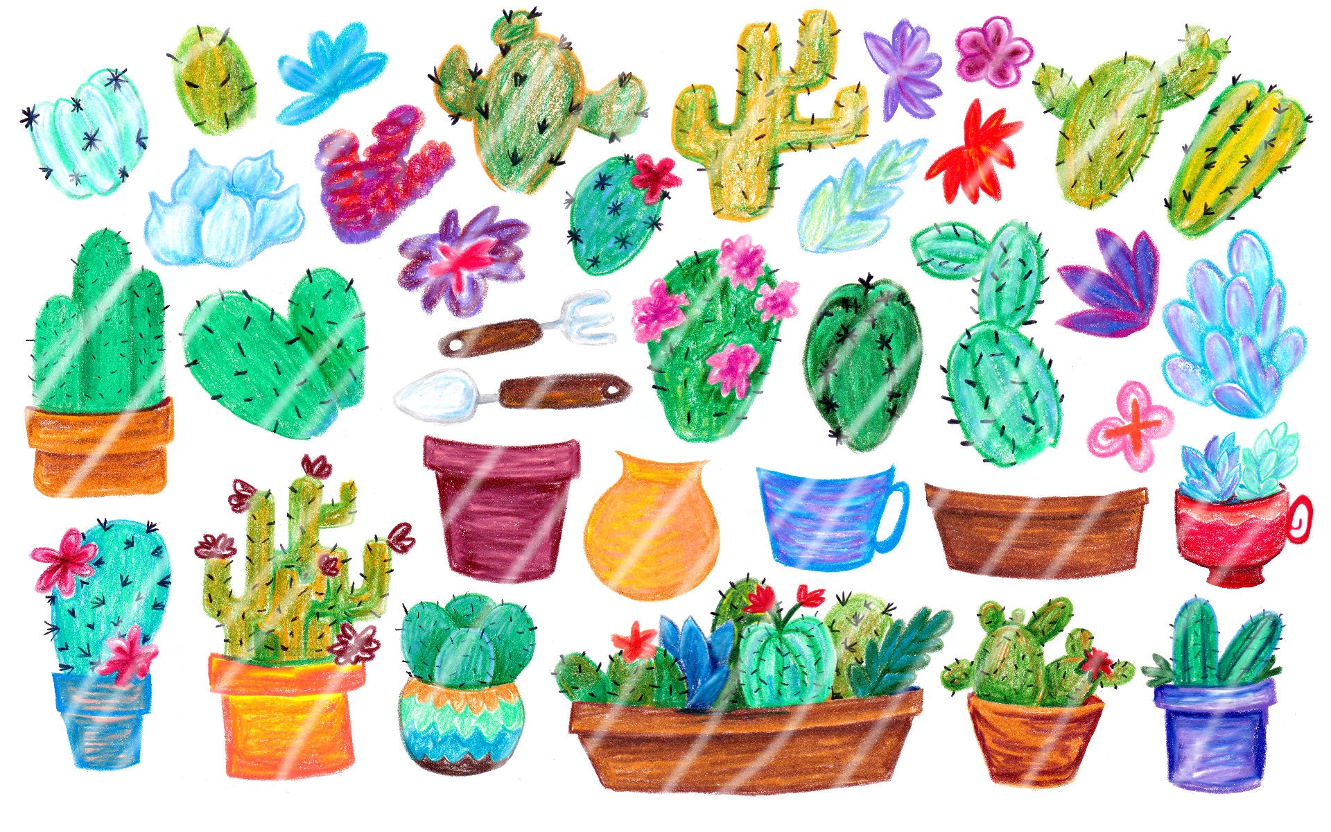 Hand Drawn Cactus and Succulent Clipart Drawn Cacti - Etsy