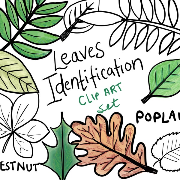 Leaves Clip Art - Etsy