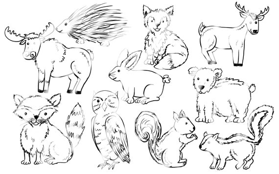 Woodland Animals Clip Art Black And White