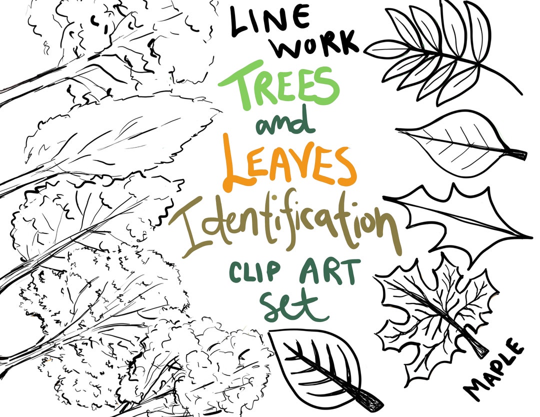 Line Work Trees and Leaves Clip Art Trees and Leaves - Etsy