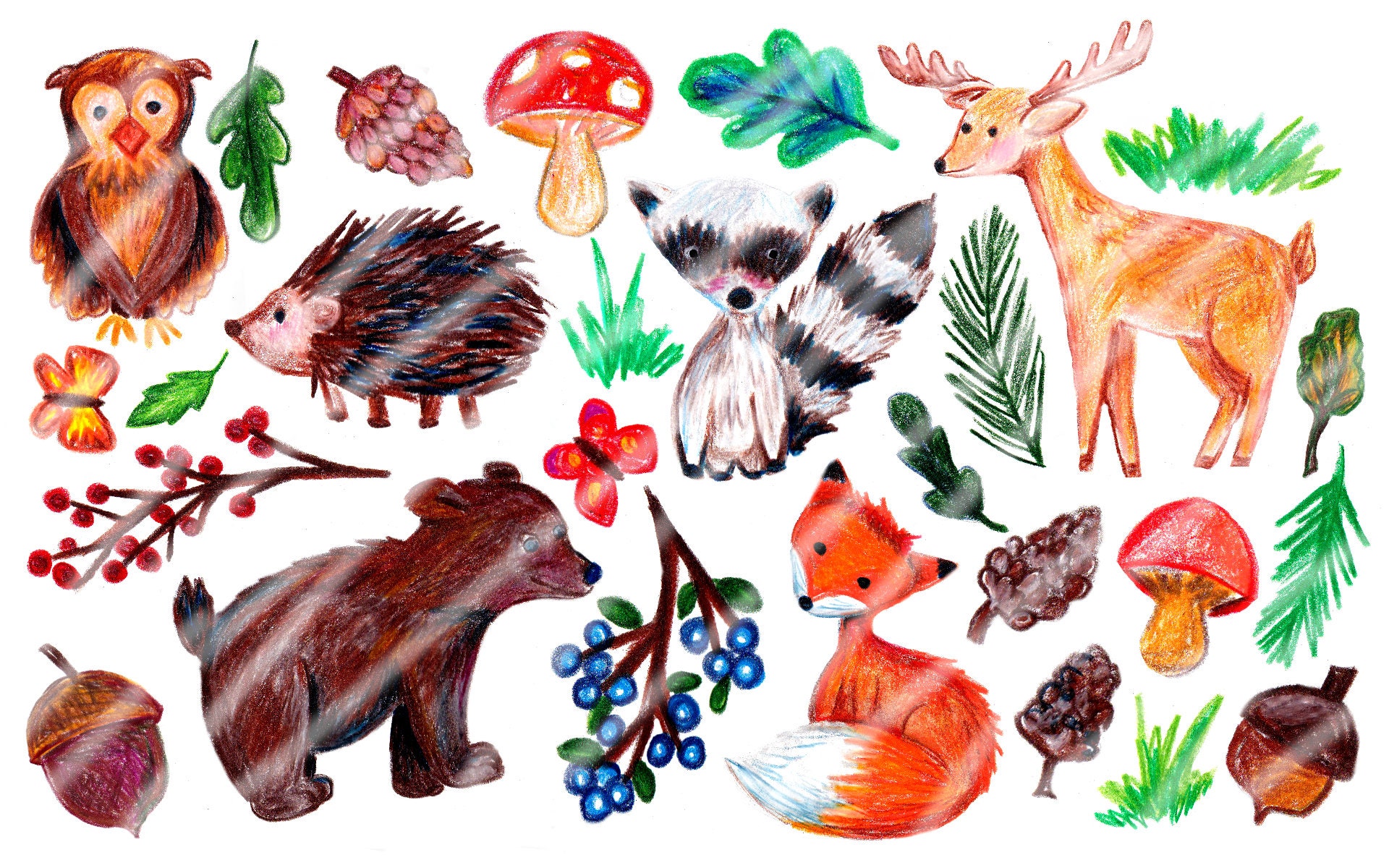 Hand Drawn Woodland Animals Clipart Forest Animals Clip Art - Etsy