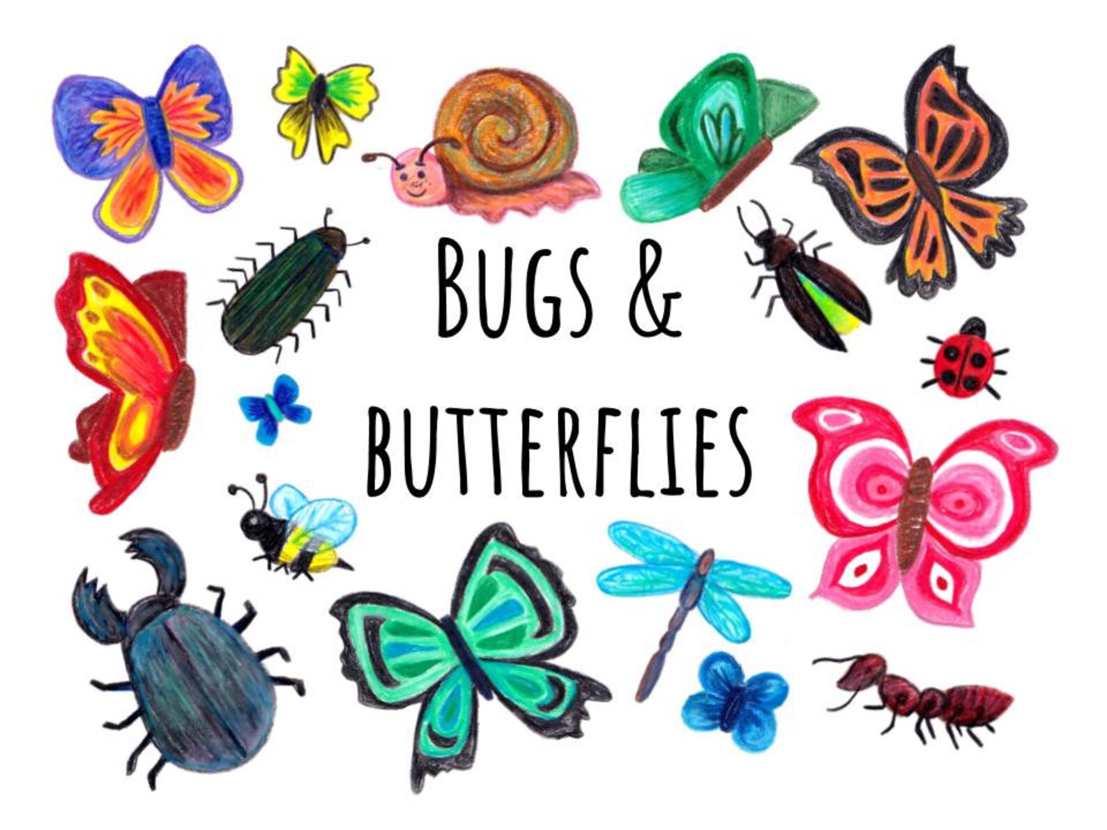 Bugs and Butterflies Clip Art Hand Drawn Clipart Hand Drawn - Etsy