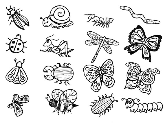 Insect Clip Art Black And White