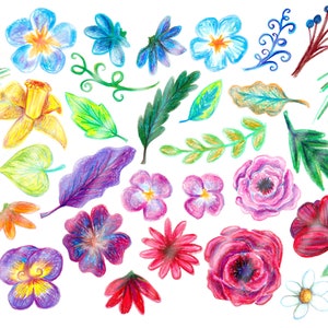 Spring Time Hand Drawn Floral Clip Art, Hand Drawn Clipart Color Pencil ...