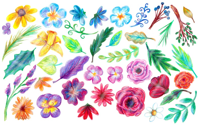 Spring Time Hand Drawn Floral Clip Art, Hand Drawn Clipart Color Pencil ...