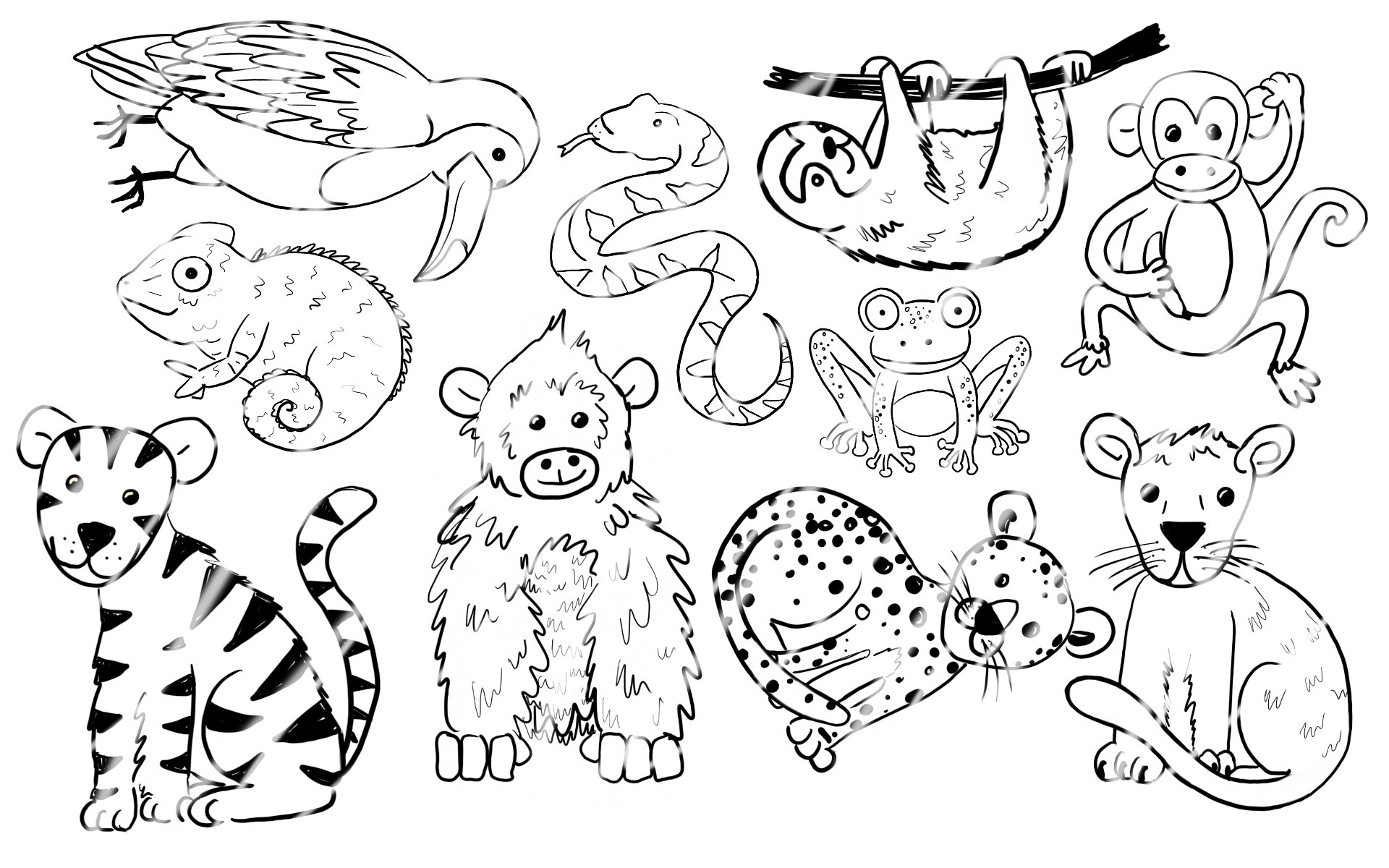 Tropical Rainforest Clipart Black And White