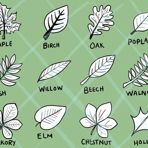 Line Work Trees and Leaves Clip Art Trees and Leaves - Etsy