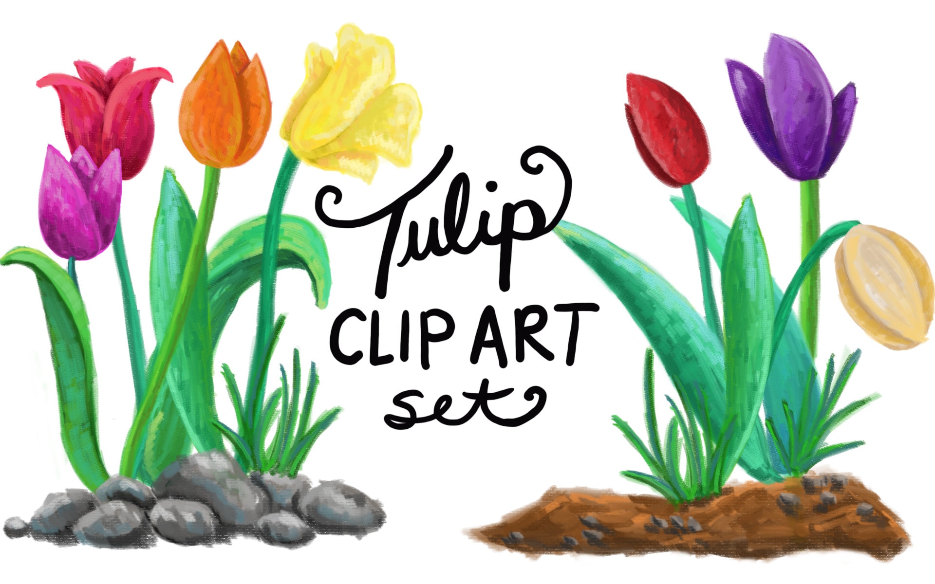 Clip Art Tulips