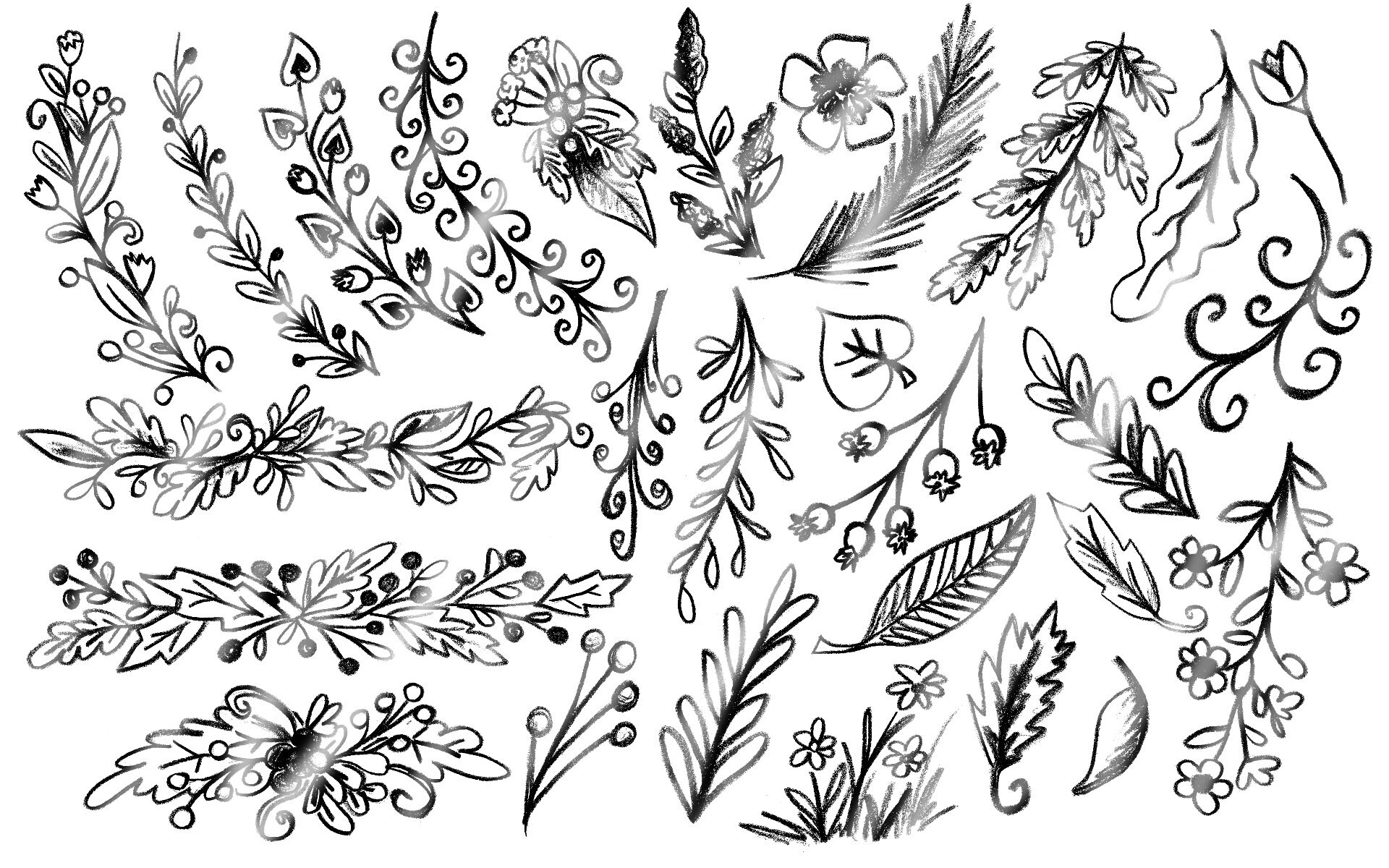 Black and White Floral Clipart, Hand Drawn Floral Clipart, Black and ...