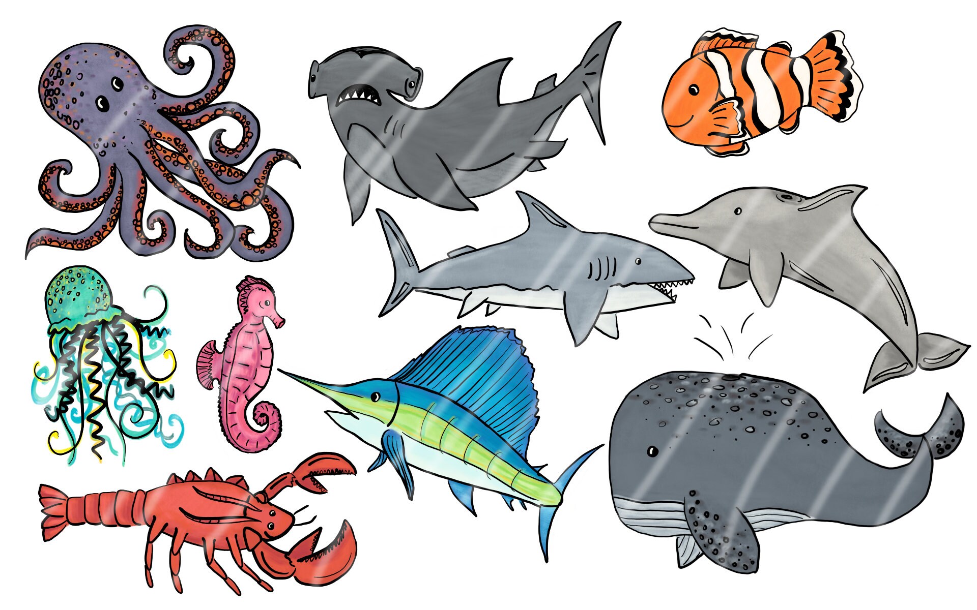 Ocean Animals Clip Art Hand Drawn Ocean Animals Clip Art - Etsy