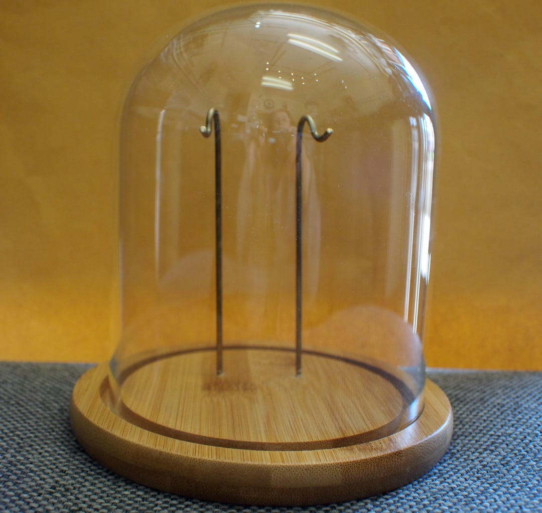 Dome Glass Display Bamboo Wood Base With 2 Hooks for Pocket Watch - Etsy