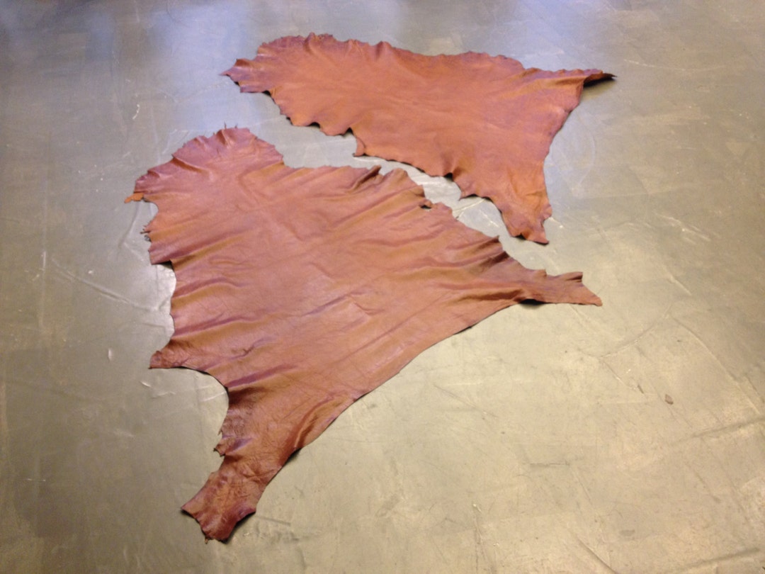 Samples of Leather Hides - Etsy