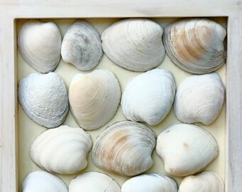 Clam Shells Wall Art - Etsy