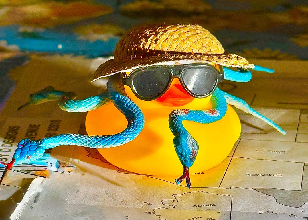 Rubber Duck Snake Duck - Etsy
