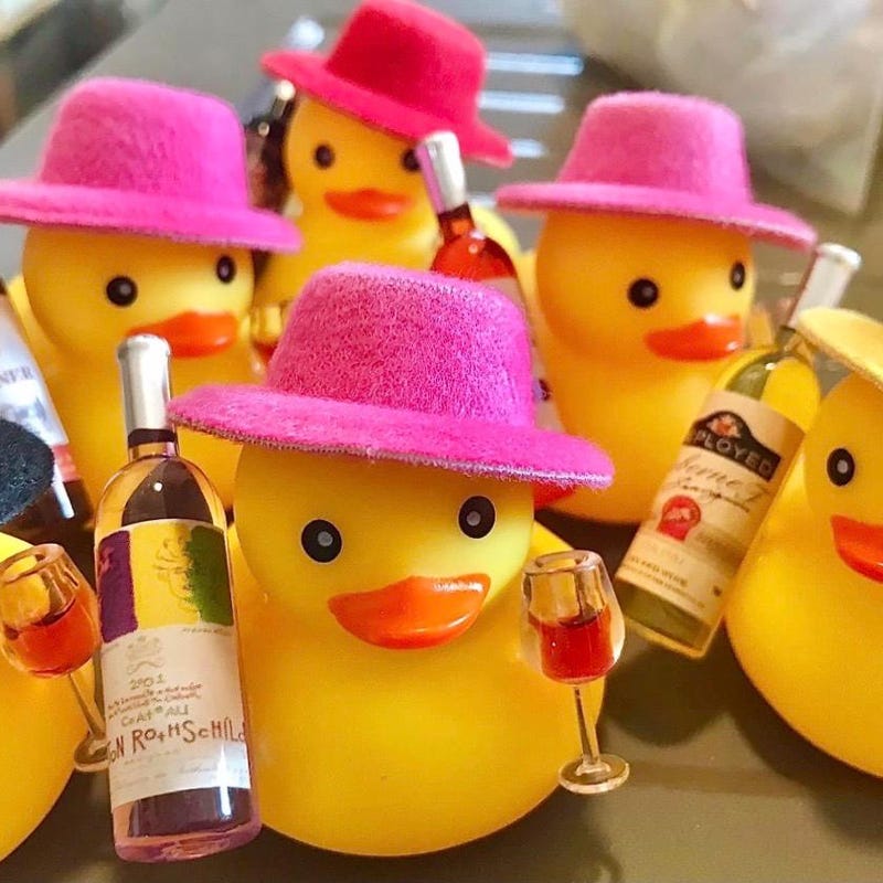 Wooden Duck With Wine - Etsy