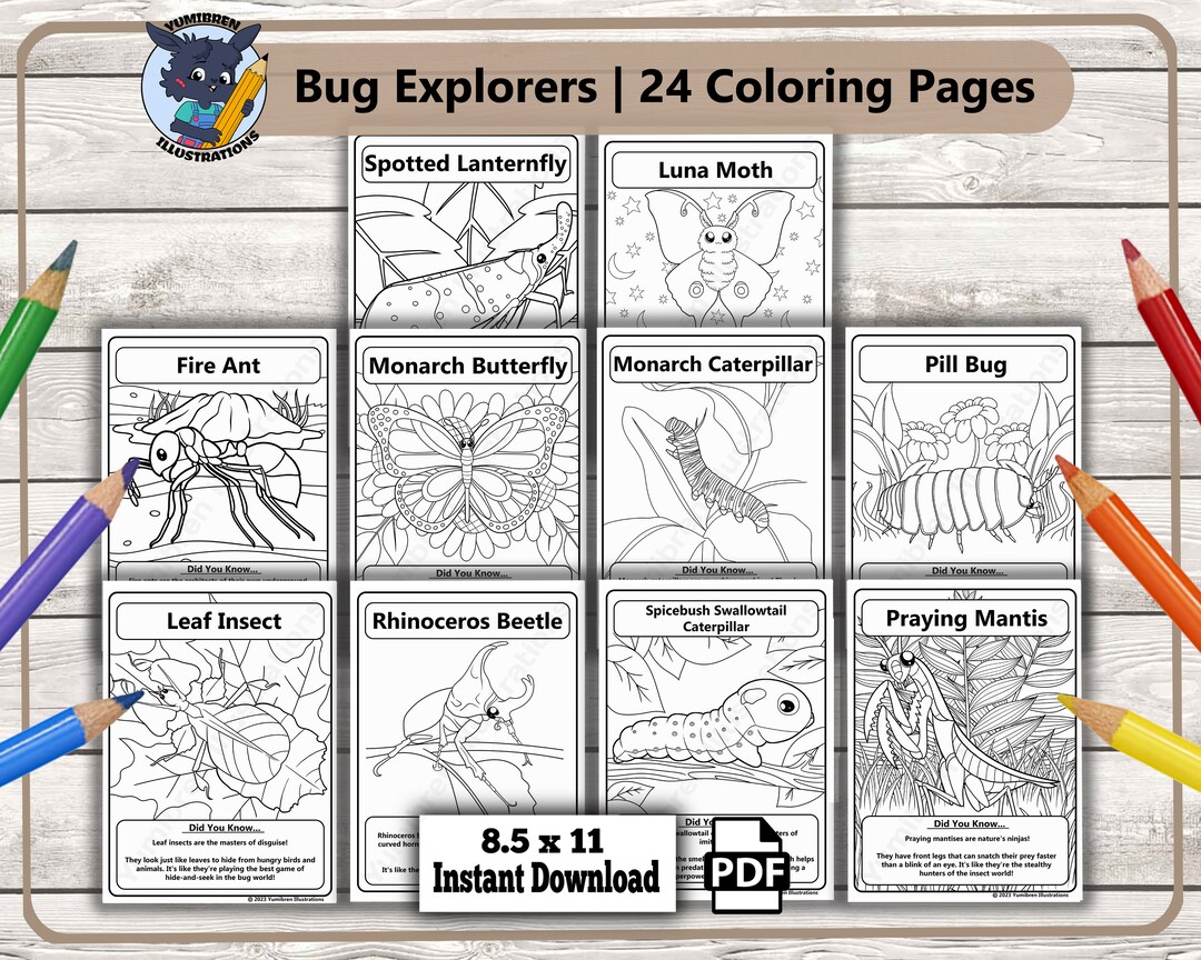Bug Explorers: 24 Fun and Educational Coloring Pages for Inquisitive ...