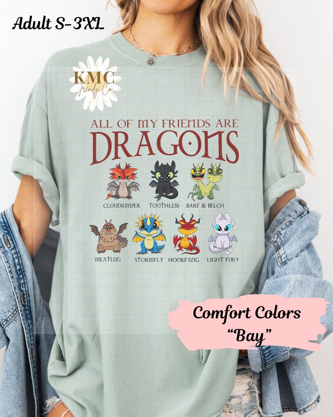 How to Train Your Dragon Comfort Colors T-shirt, HTTYD Shirt, Girly ...