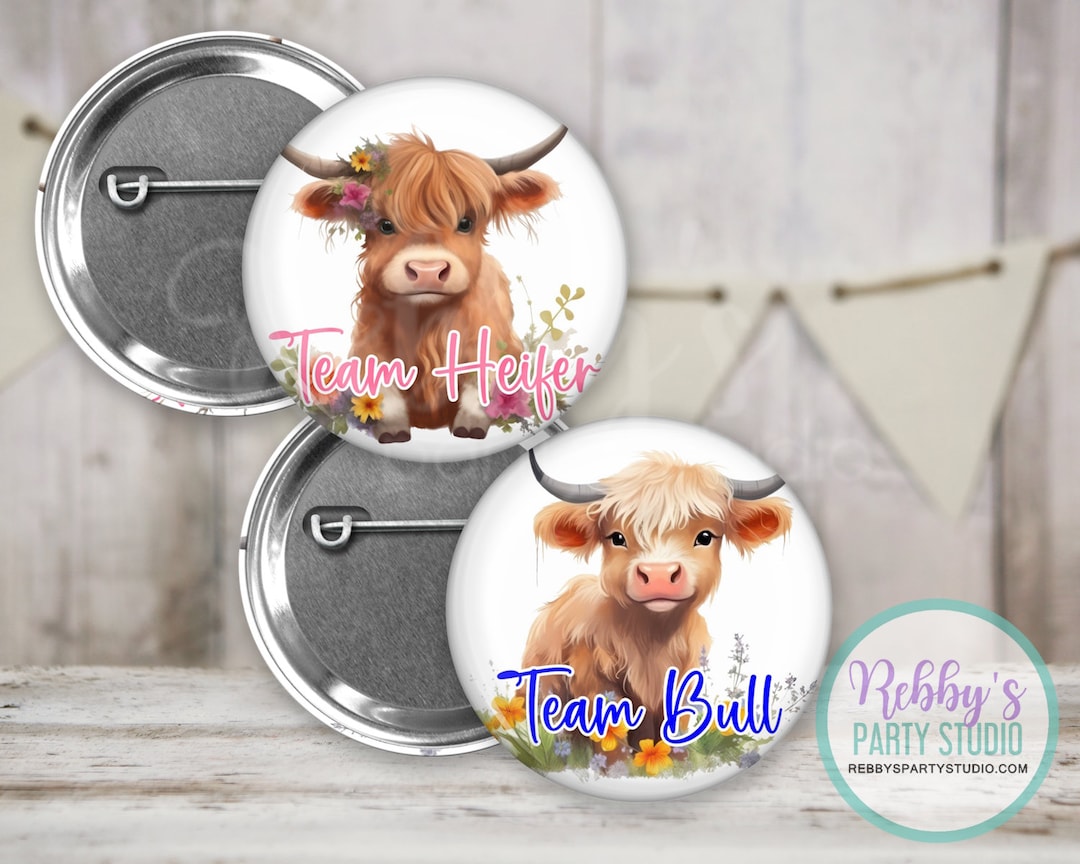 Cute Highland Cows Gender Reveal Button Pins Team Heifer or Team Bull ...