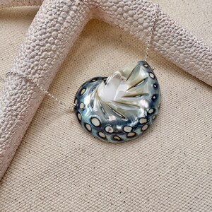 Sterling Silver Blue Nautilus Shell Necklace: Iridescent Capiz Shell ...