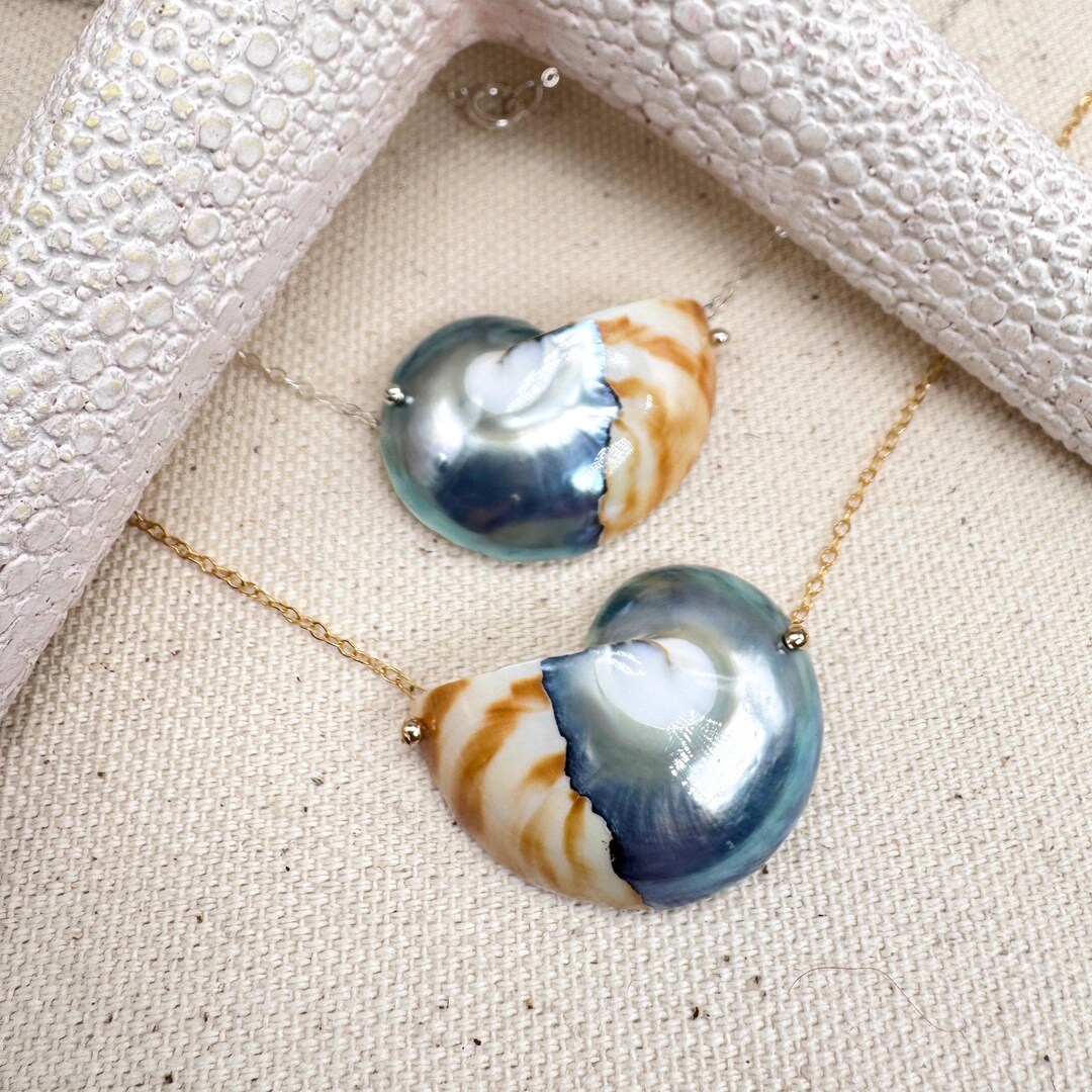 Small Blue and Natural Stripes Nautilus Shell Necklace: Iridescent ...