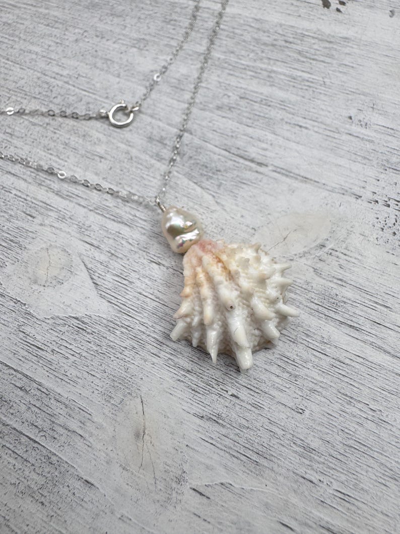 Unique Ivory Spiny Jewel Box Shell Statement Necklace - Etsy UK